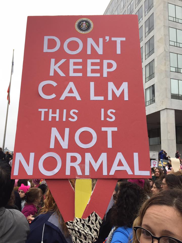 Womens March On Washington Laurie Ruettimann